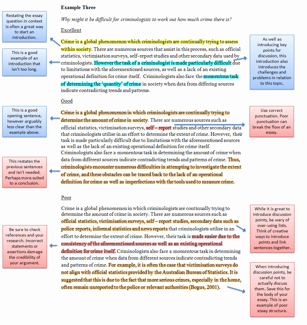 College Introduction Paragraph Examples
